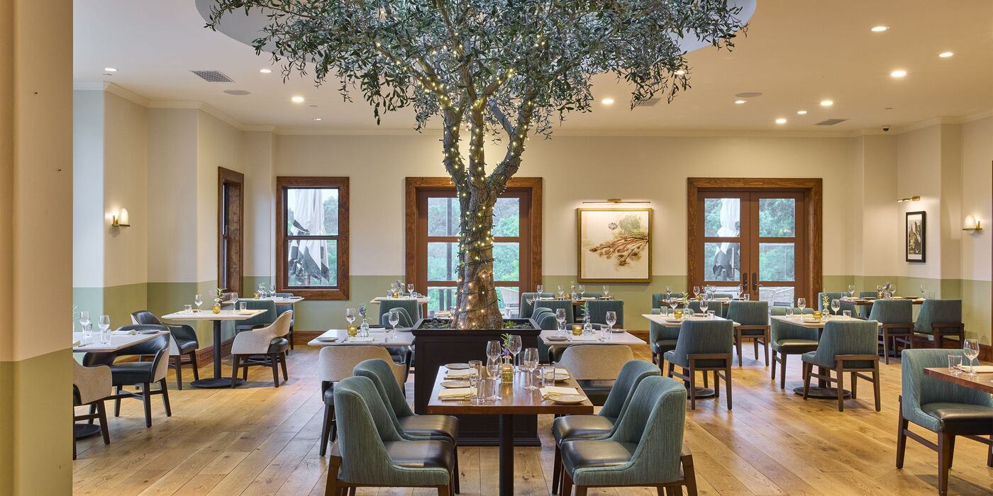 Hotel Viata | Austin Westlake Hills Retreat Among Trees