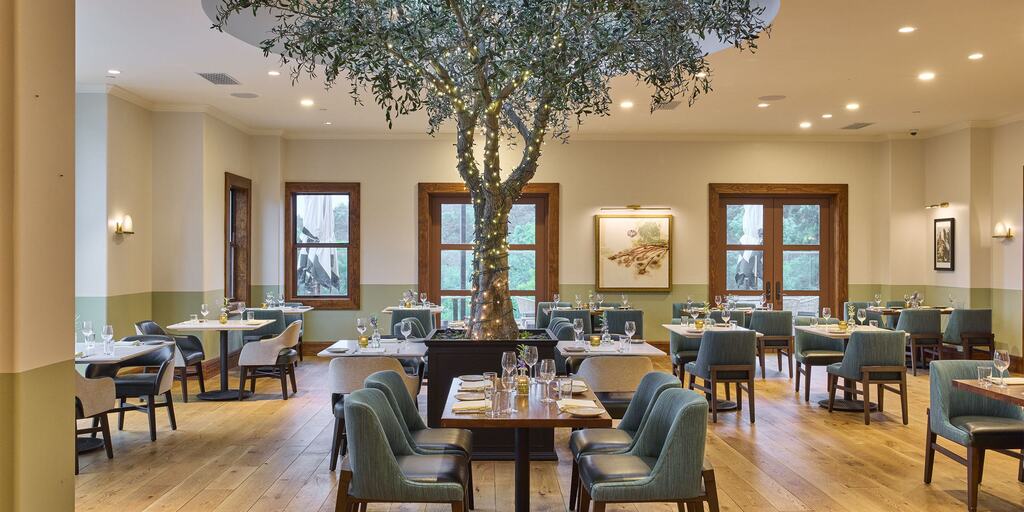 Hotel Viata | Austin Westlake Hills Retreat Among Trees